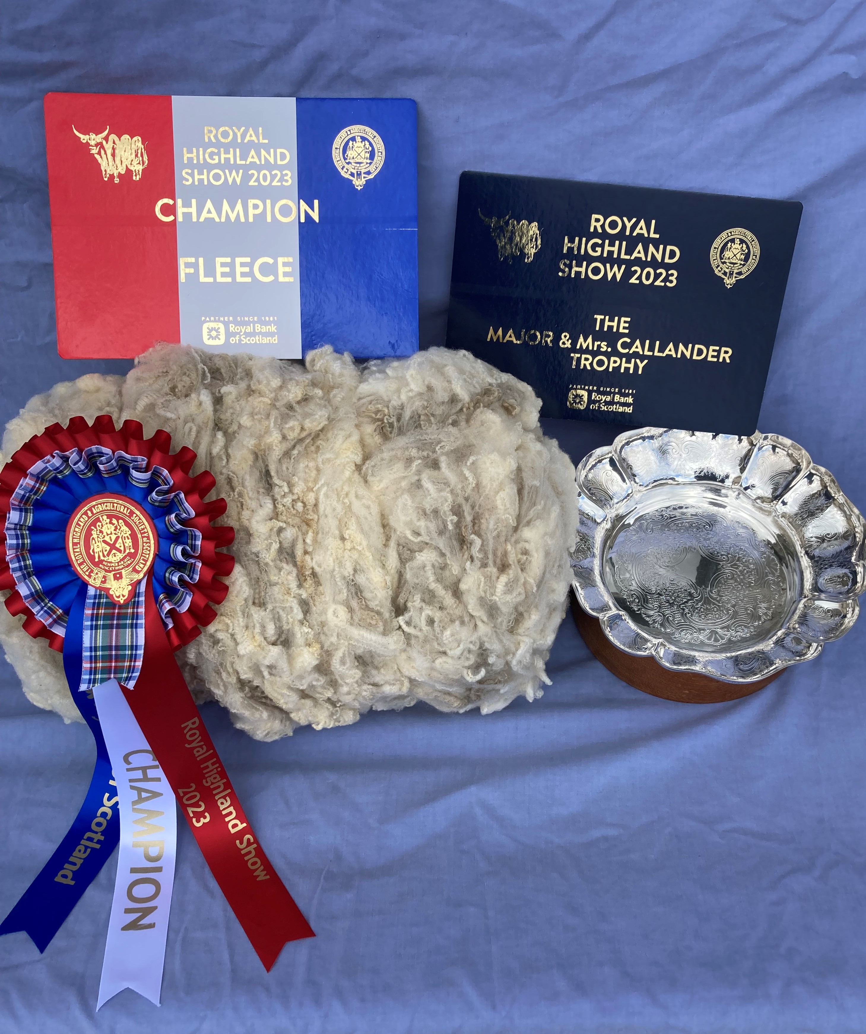 Fleeces for sale from | Shetland Sheep Society